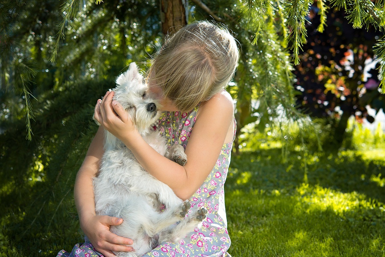 7 Amazing Gift Ideas For Dog Lovers Colbert On Demand 7 Amazing Gift Ideas For Dog Lovers Colbert On Demand